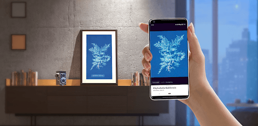 Meural for PC - Free Download & Install on Windows PC, Mac